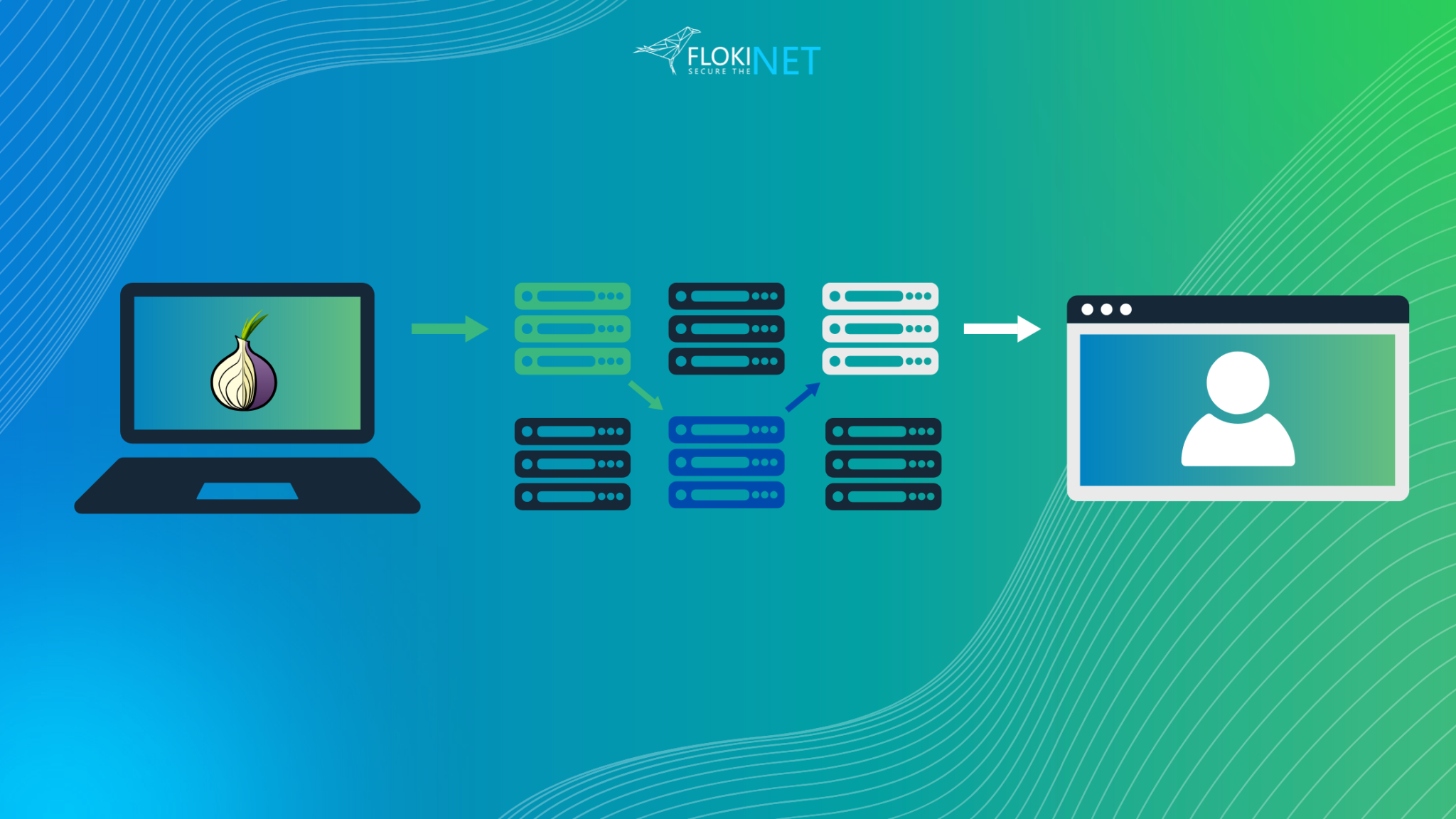 What is the Tor Network? A detailed guide to online anonymity